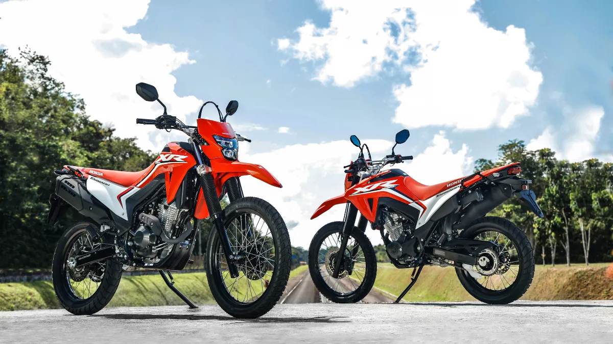 Nueva Honda XR 300L Tornado 2024: Ficha técnica, precio y fecha - Publimotos